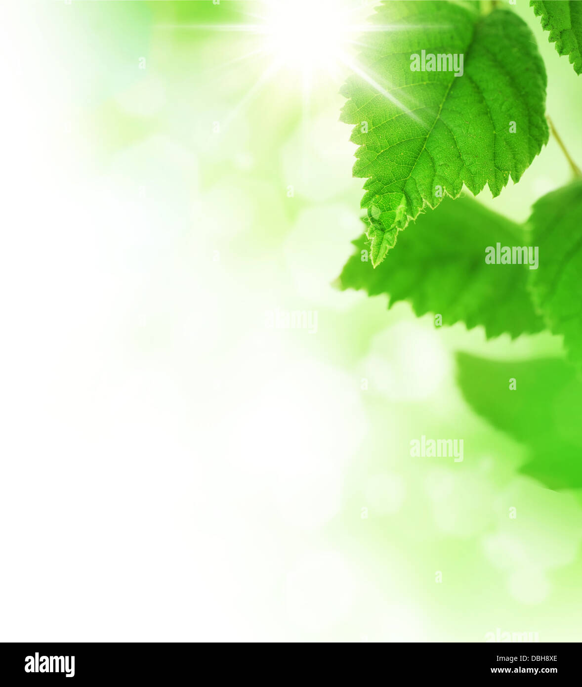 Beautiful Nature Border Stock Photo - Alamy