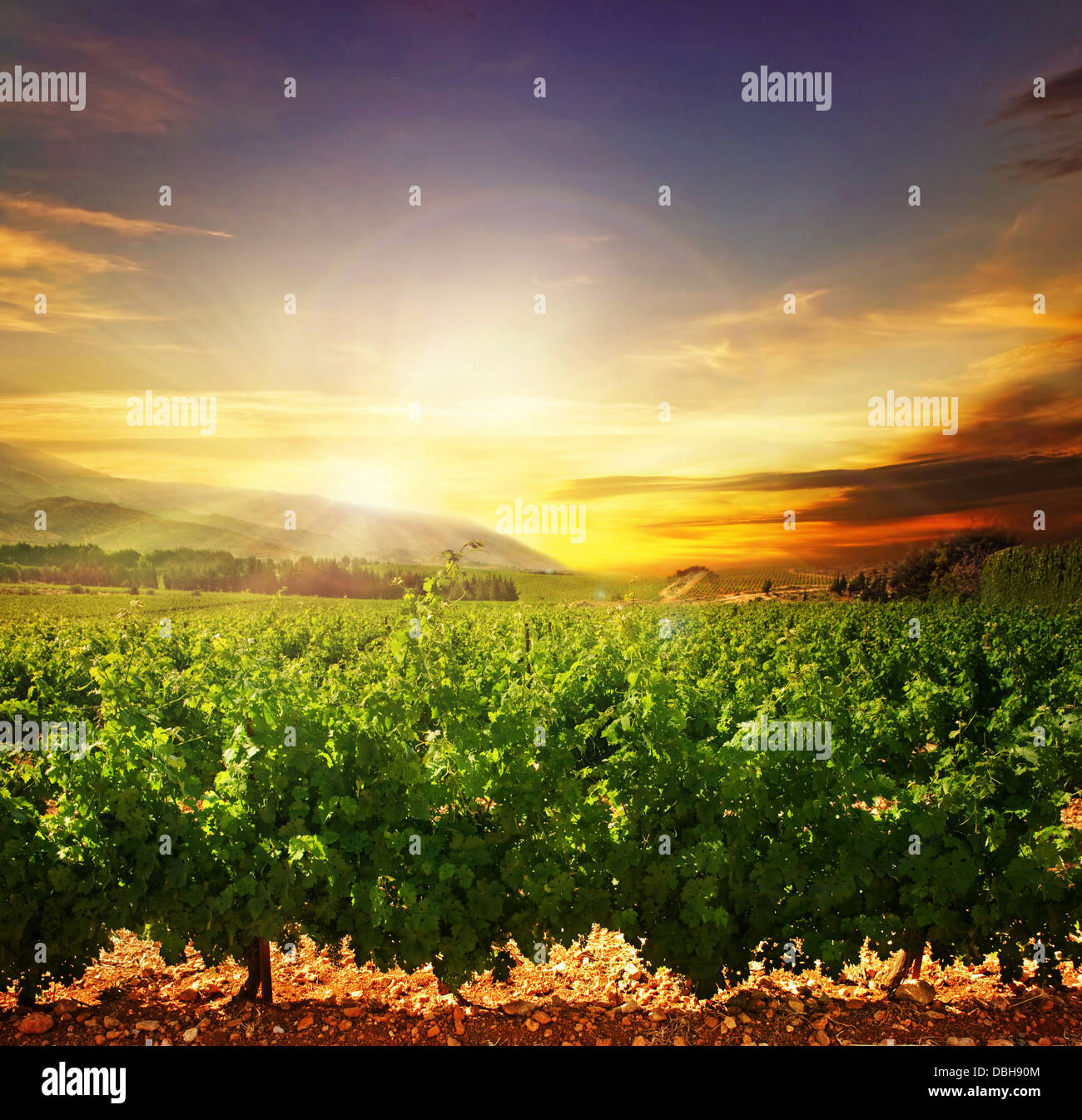 Beautiful Sunset. Nature Landscape Stock Photo - Alamy