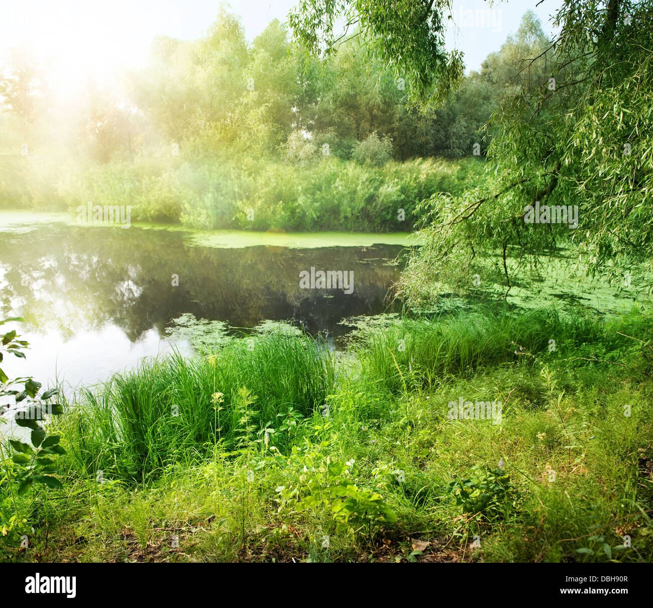Summer Landscape With River Stock Photo - Alamy