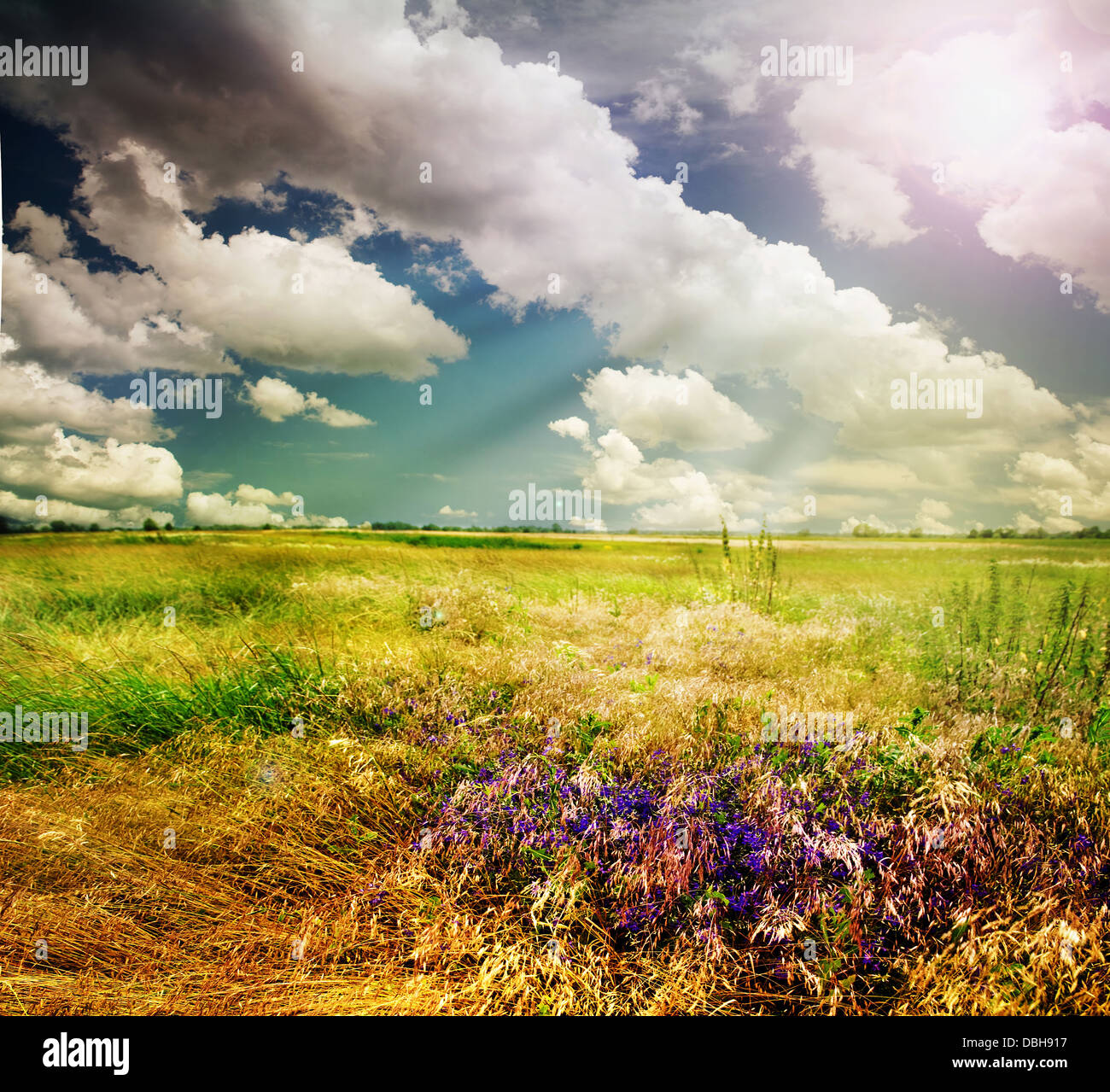 Beautiful Nature Rural Landscape Stock Photo - Alamy
