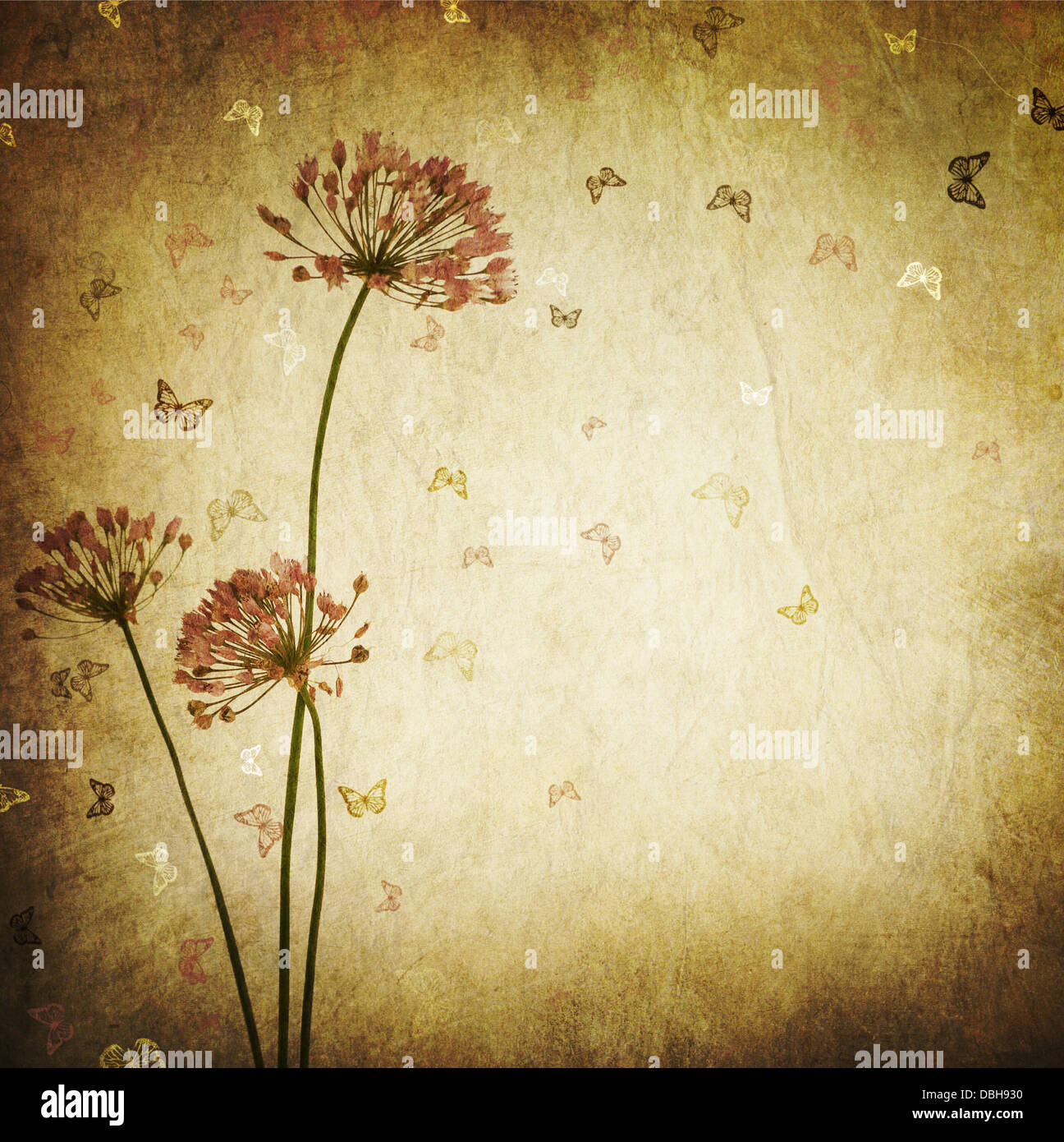 Floral Design border. Vintage styled Stock Photo - Alamy