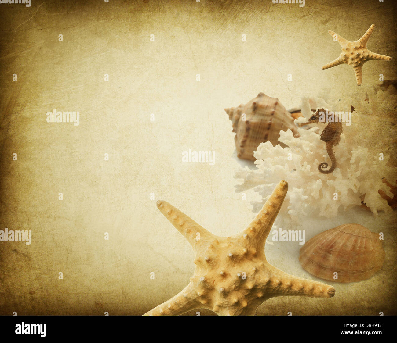 Vintage Sea. Life Border Stock Photo - Alamy