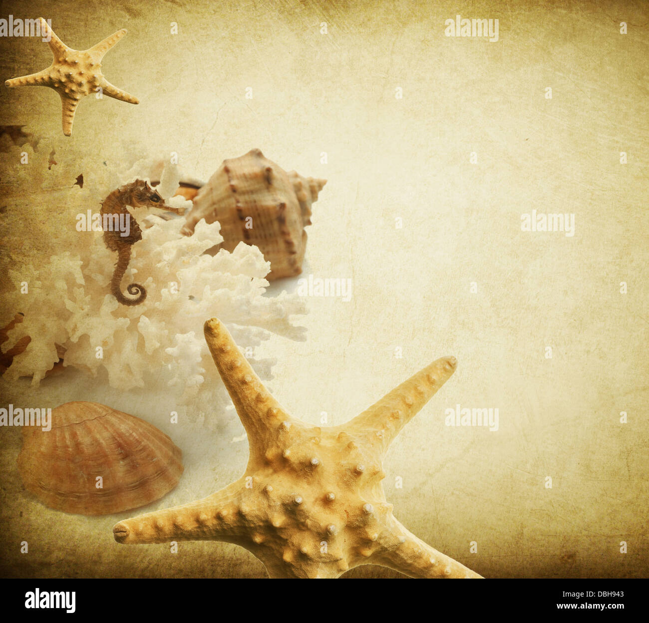 Vintage Styled Sea Border Design Stock Photo - Alamy