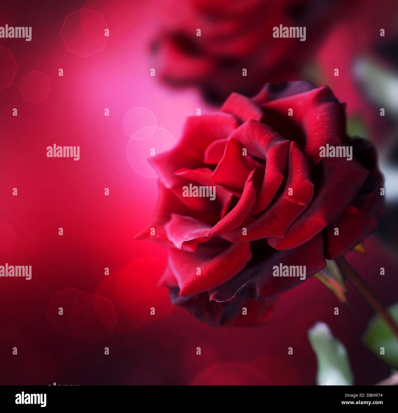 Red Roses design Stock Photo - Alamy