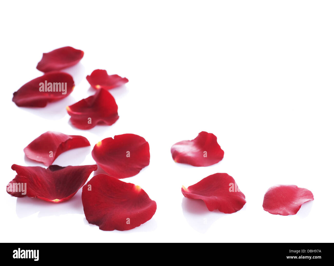 Rose Petals Border Stock Photo - Alamy