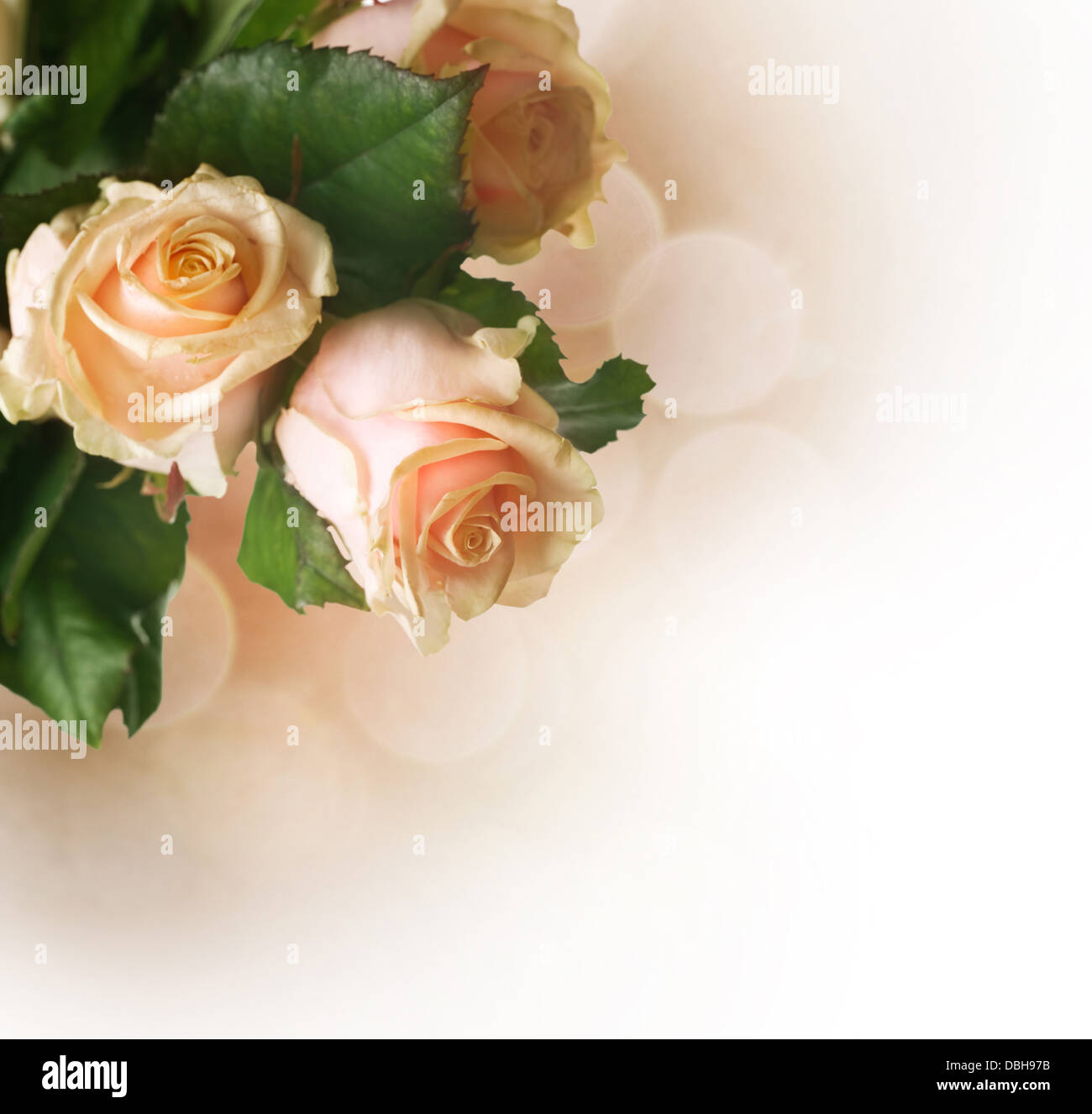 Border sepia hi-res stock photography and images - Alamy