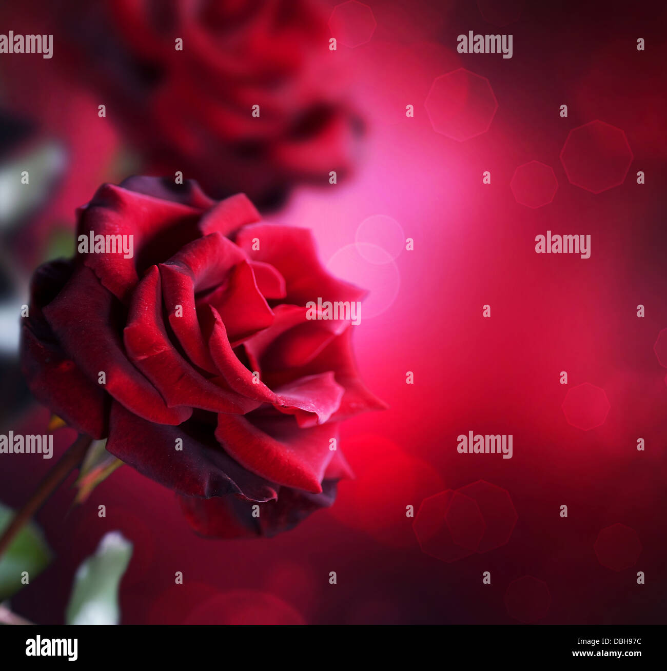 Red Roses design Stock Photo - Alamy