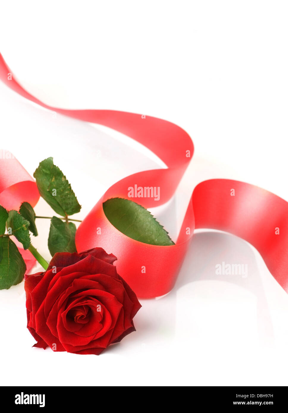 St rose hi-res stock photography and images - Alamy