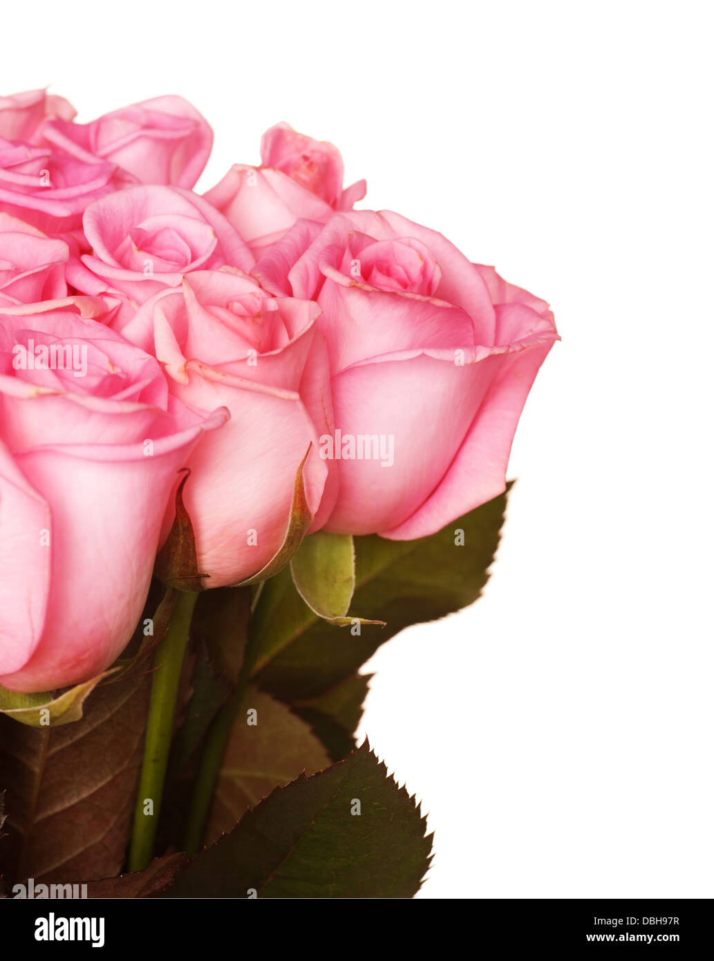 Roses border hi-res stock photography and images - Alamy