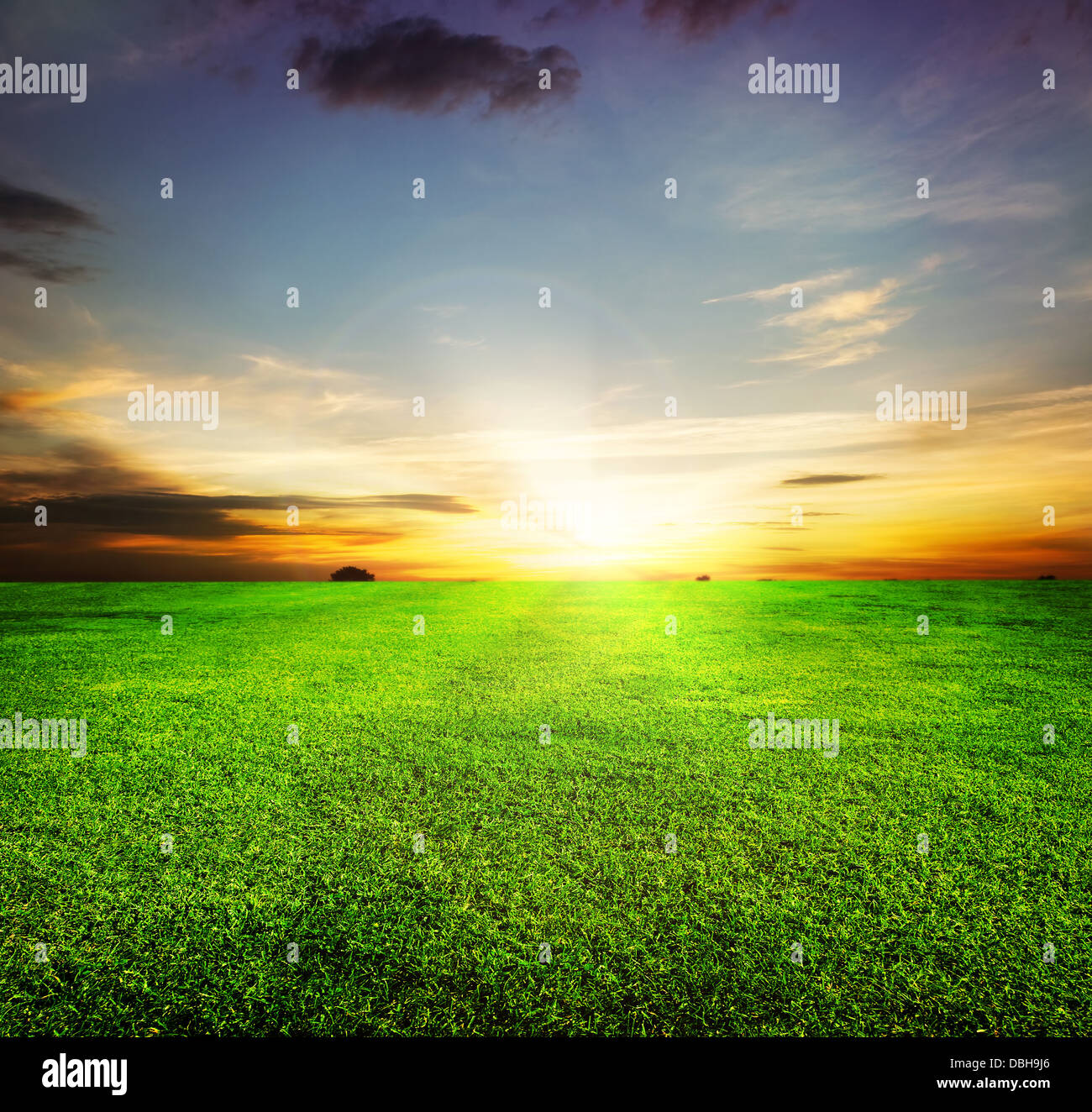 Green Field And Beautiful Sunset Stock Photo - Alamy