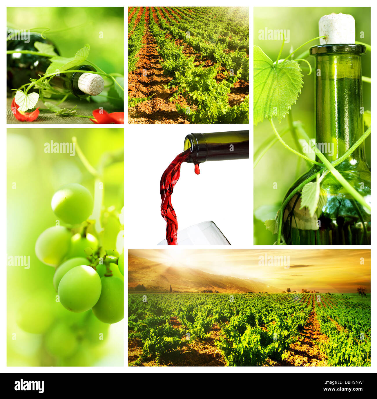 Collage with sun hi-res stock photography and images - Alamy