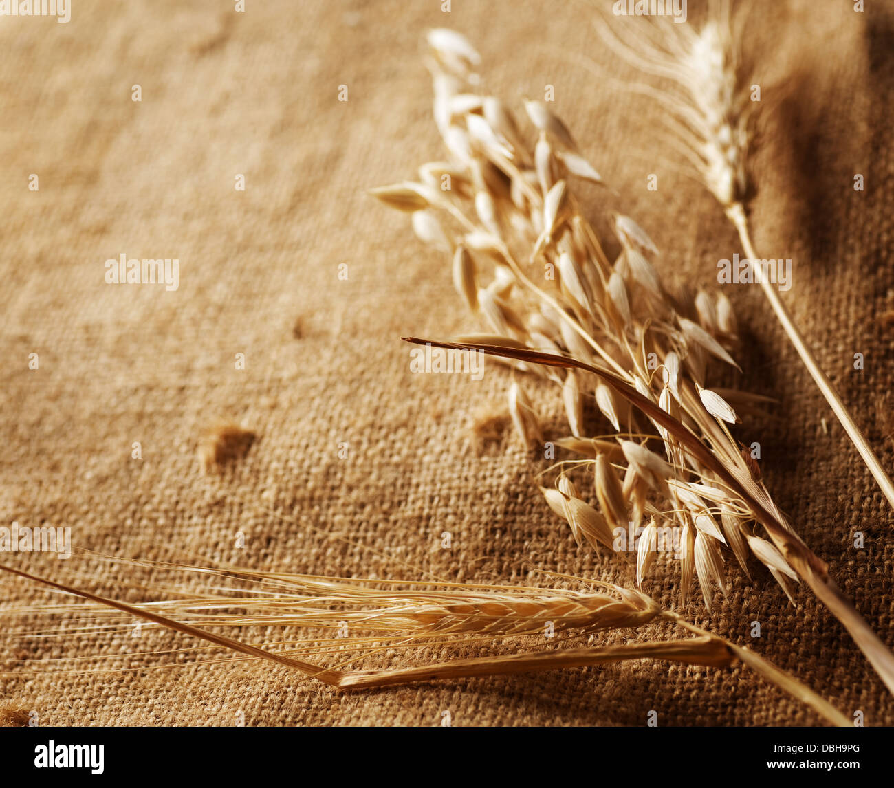 Wheat Ears border on Burlap background. with copy-space Stock Photo - Alamy