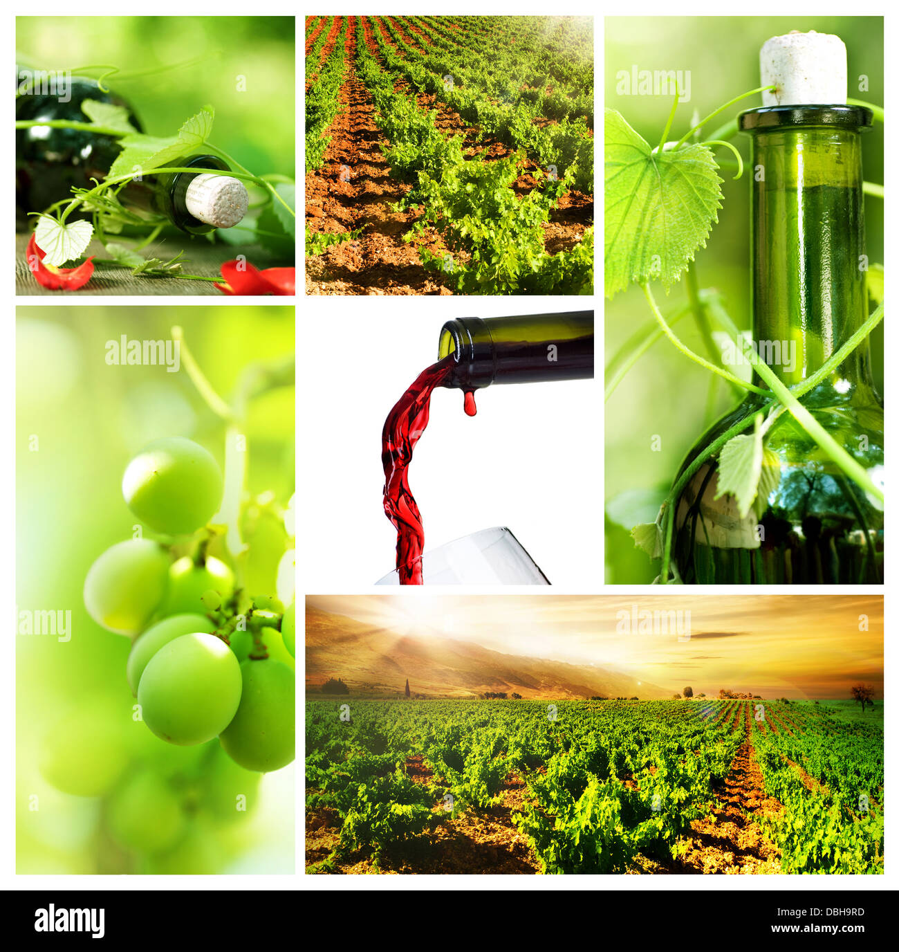 Collage with sun hi-res stock photography and images - Alamy