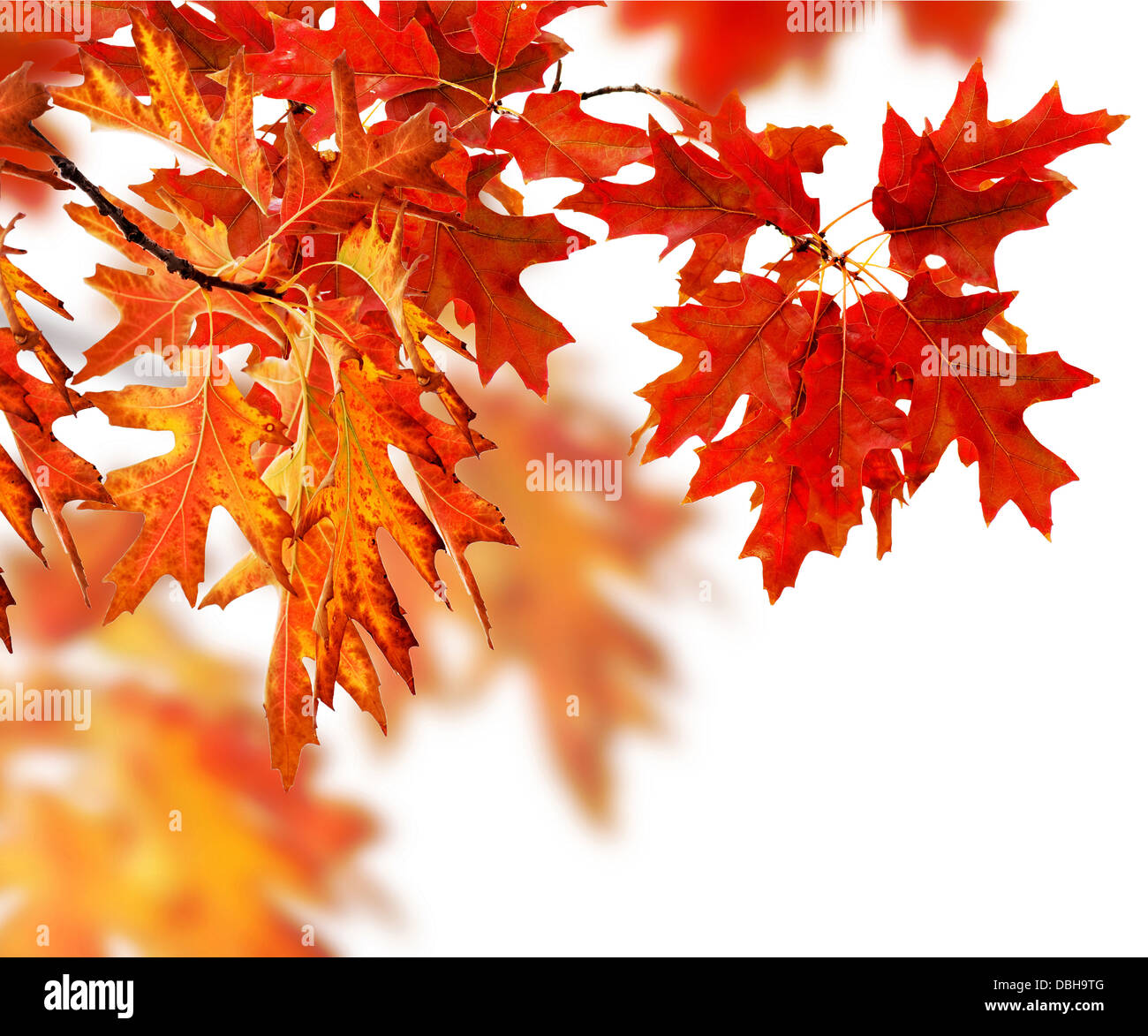 Autumn Leaves Border Stock Photo - Alamy