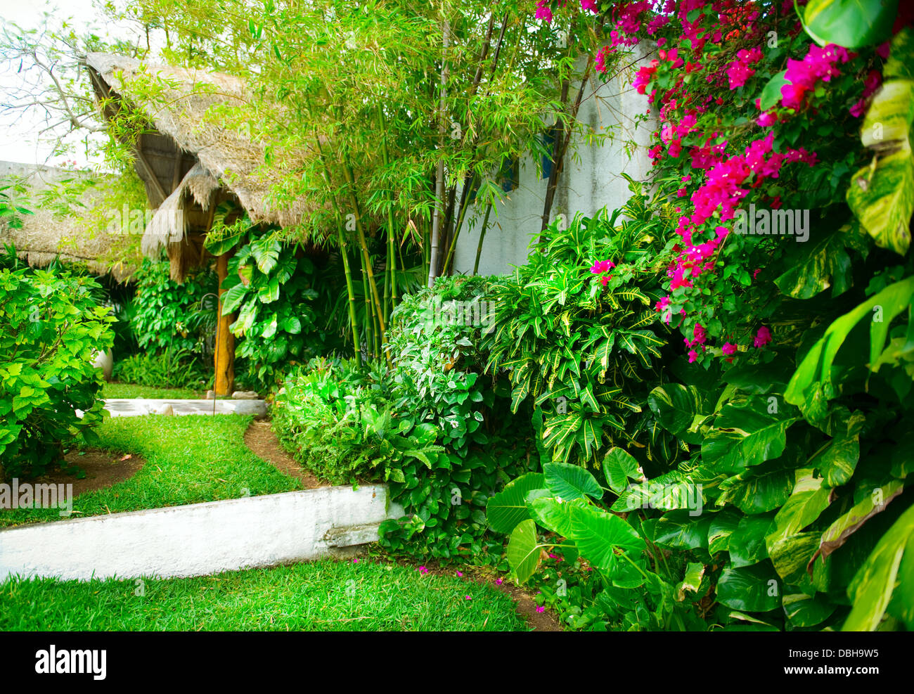 Exotic Landscaping Design Stock Photo - Alamy