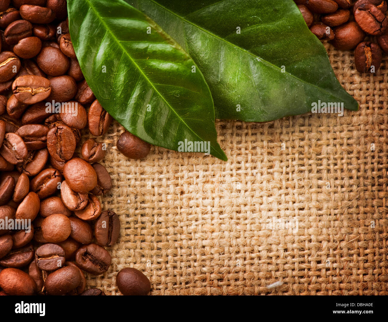 Coffee Border design. Coffee Beans and Leaves Stock Photo - Alamy
