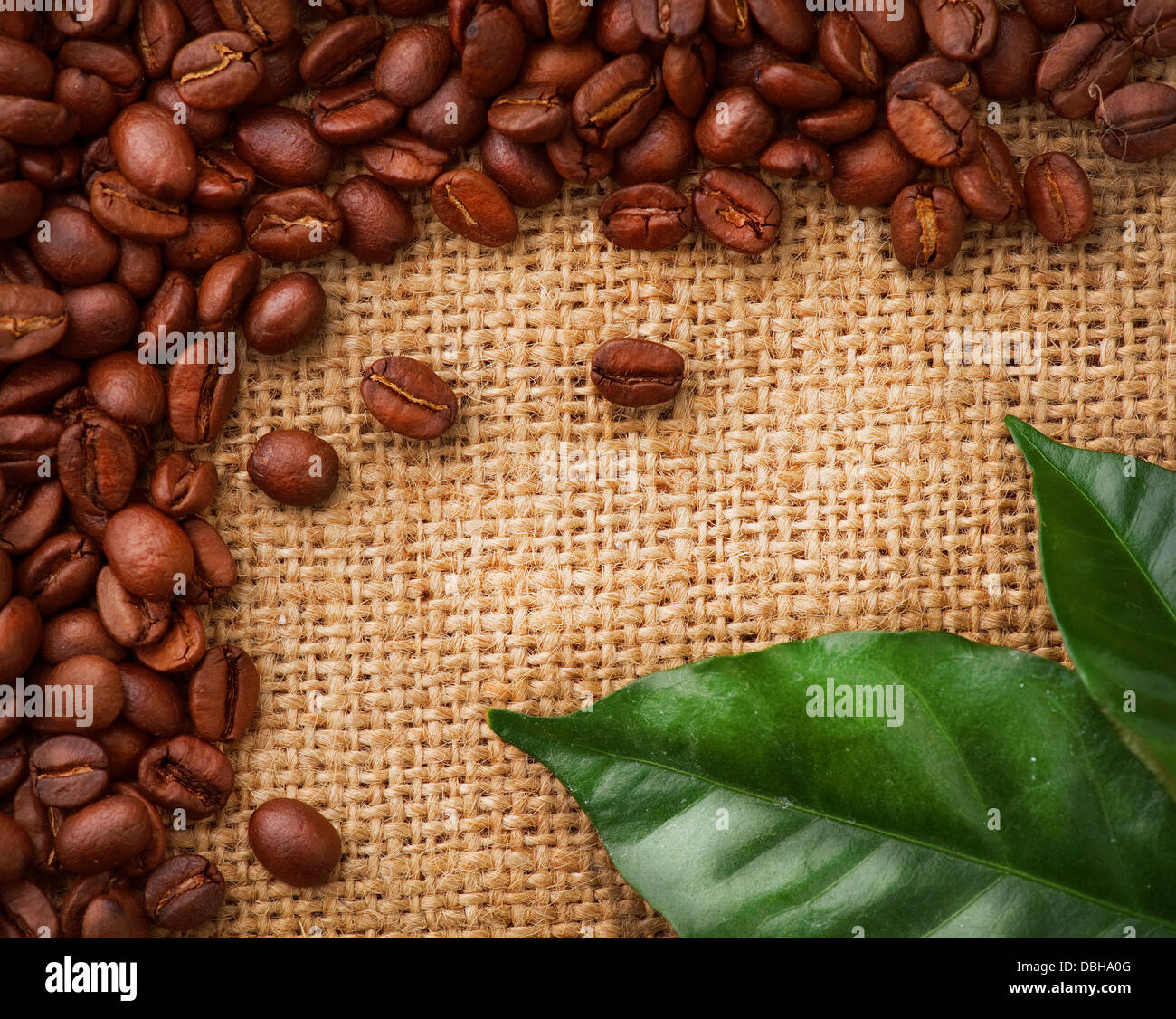Coffee Border design. Coffee Beans and Leaves Stock Photo - Alamy