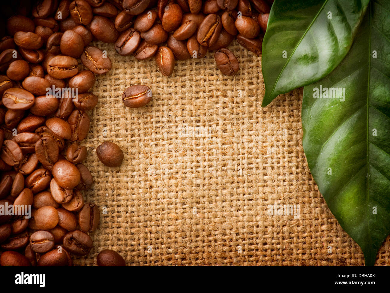 Coffee Border design. Coffee Beans and Leaves Stock Photo - Alamy
