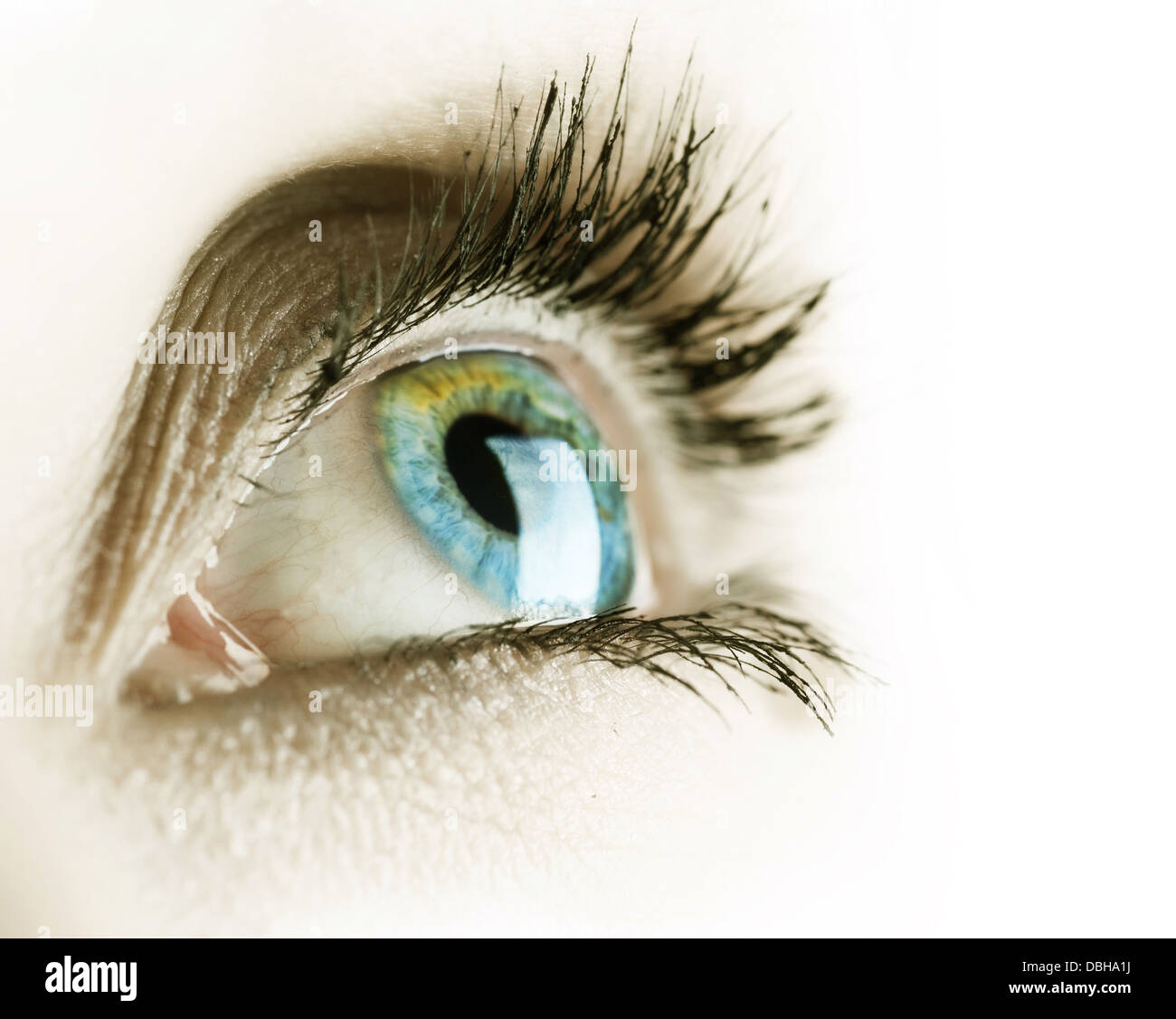 Eye isolated on a white background Stock Photo - Alamy