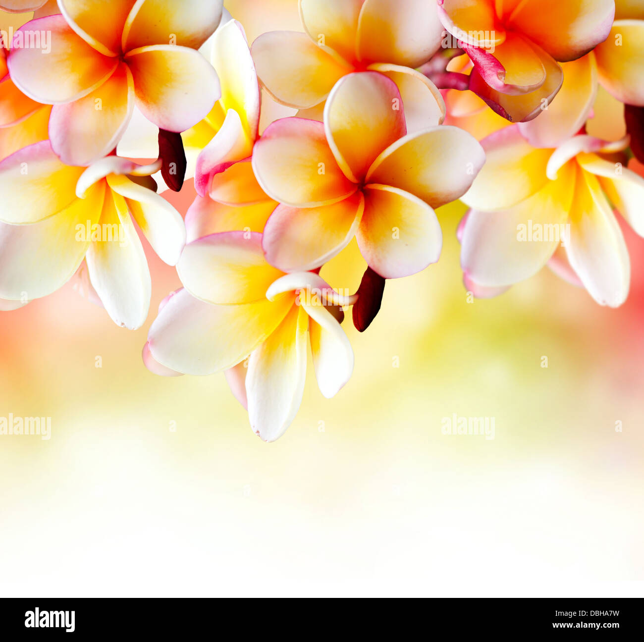 Border art hi-res stock photography and images - Alamy