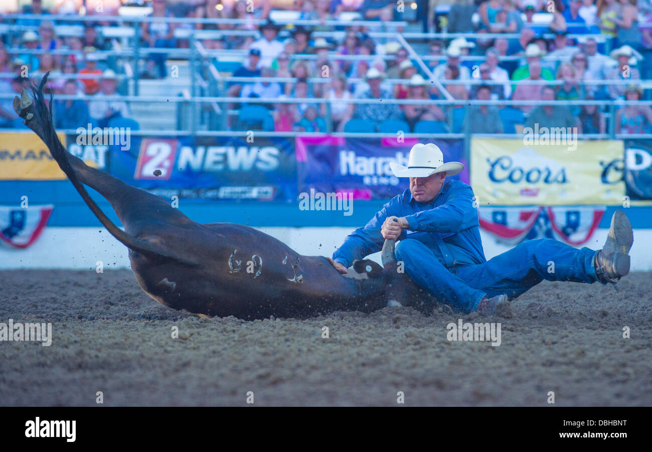 Cowboy Participant in a Calf roping Competition at the Reno Rodeo ...