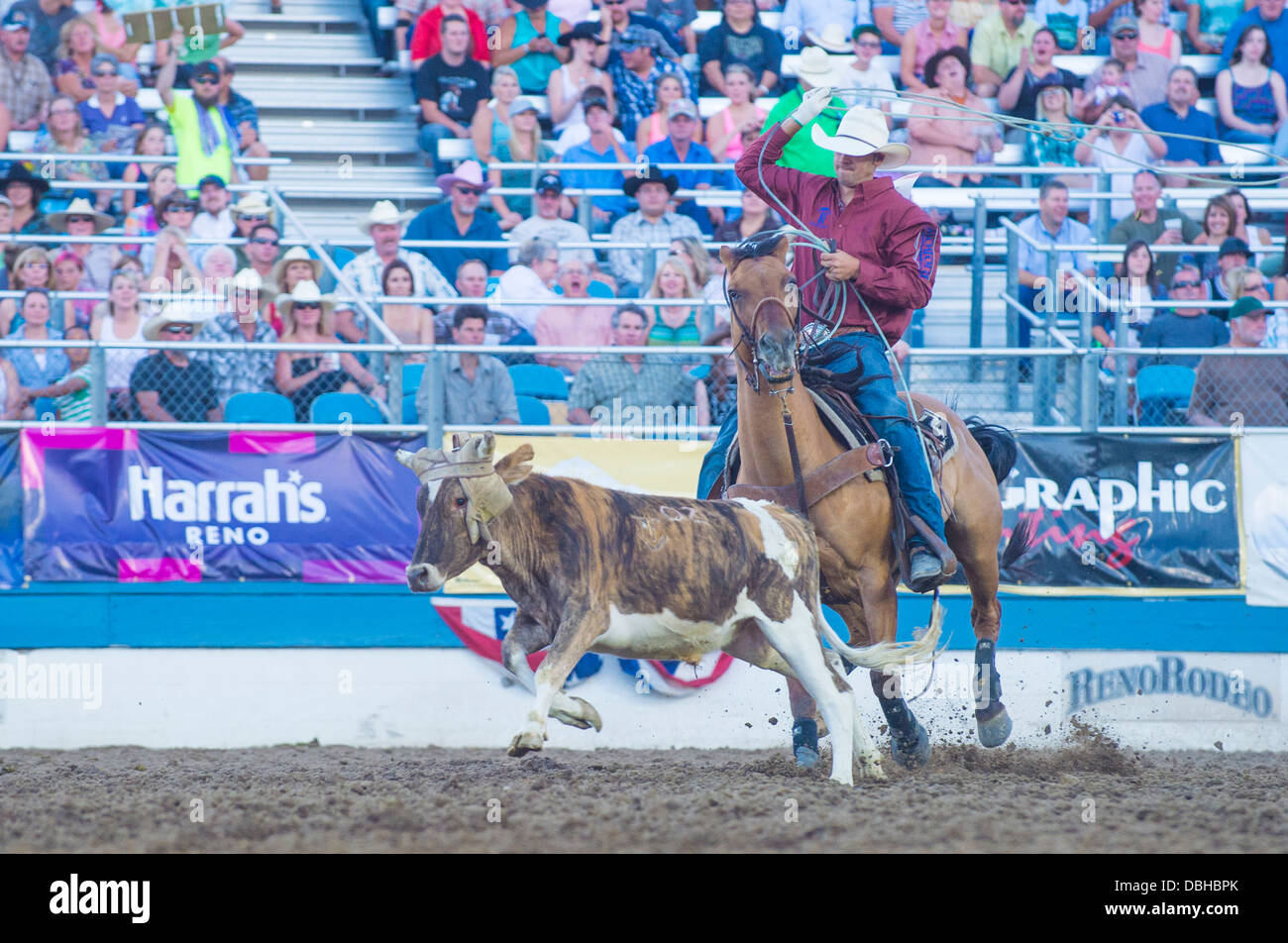 Cowboy Participant in a Calf roping Competition at the Reno Rodeo ...
