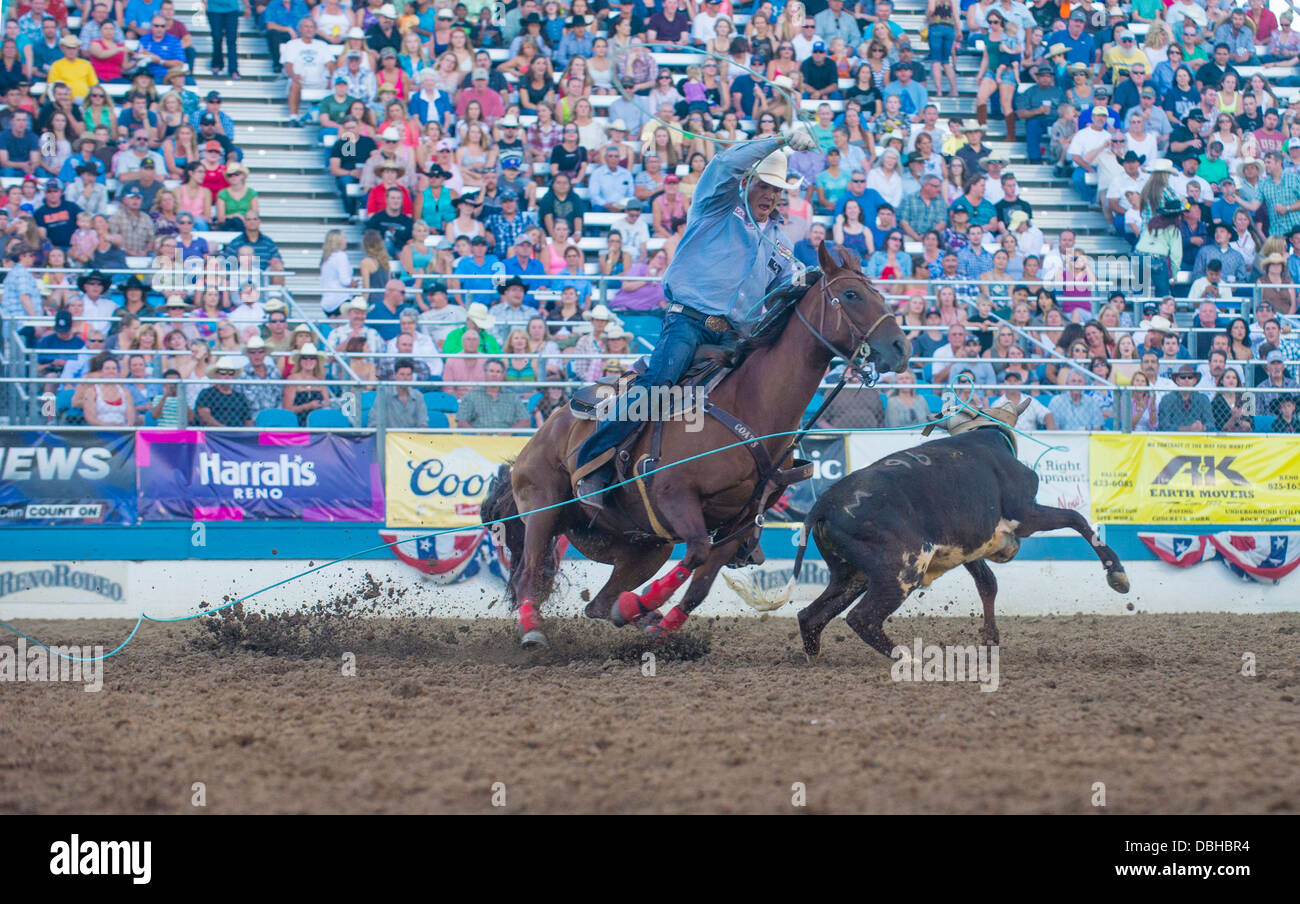 Cowboy Participant in a Calf roping Competition at the Reno Rodeo ...