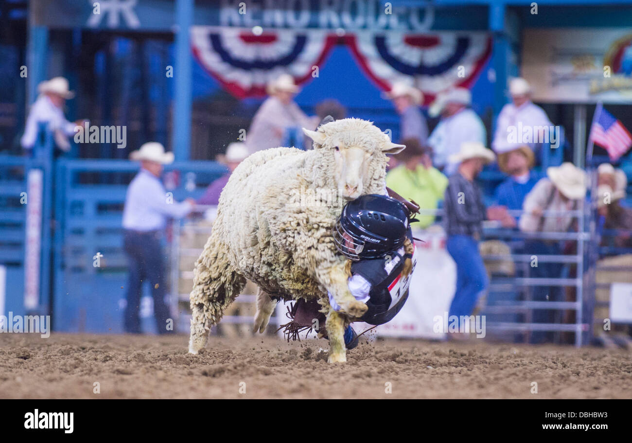 A boy riding on a sheep during a Mutton Busting contest at the Reno ...