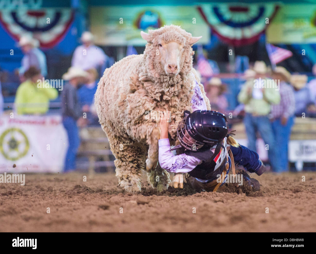 A boy riding on a sheep during a Mutton Busting contest at the Reno ...