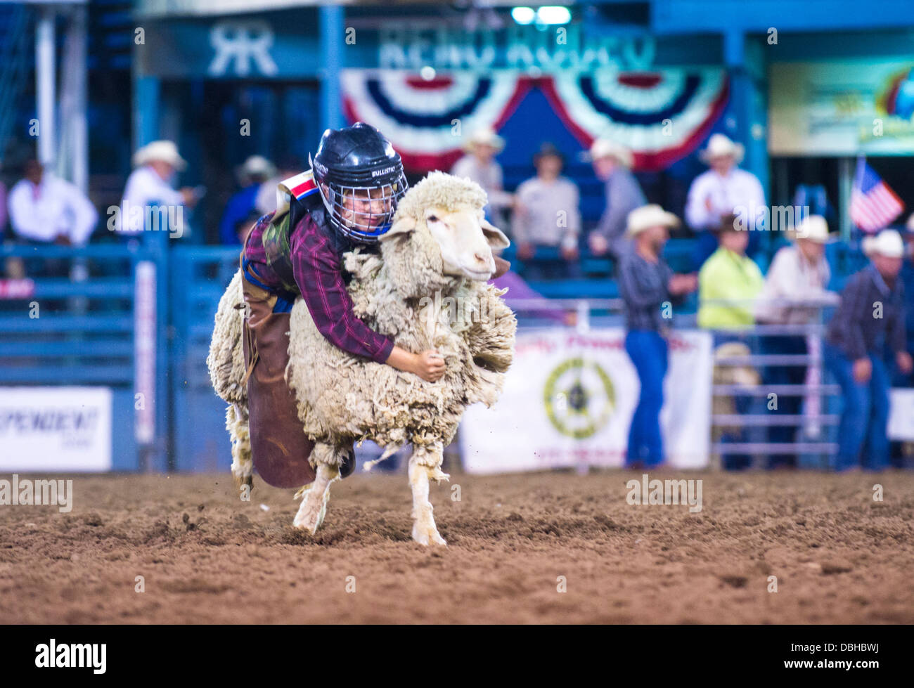 A boy riding on a sheep during a Mutton Busting contest at the Reno ...