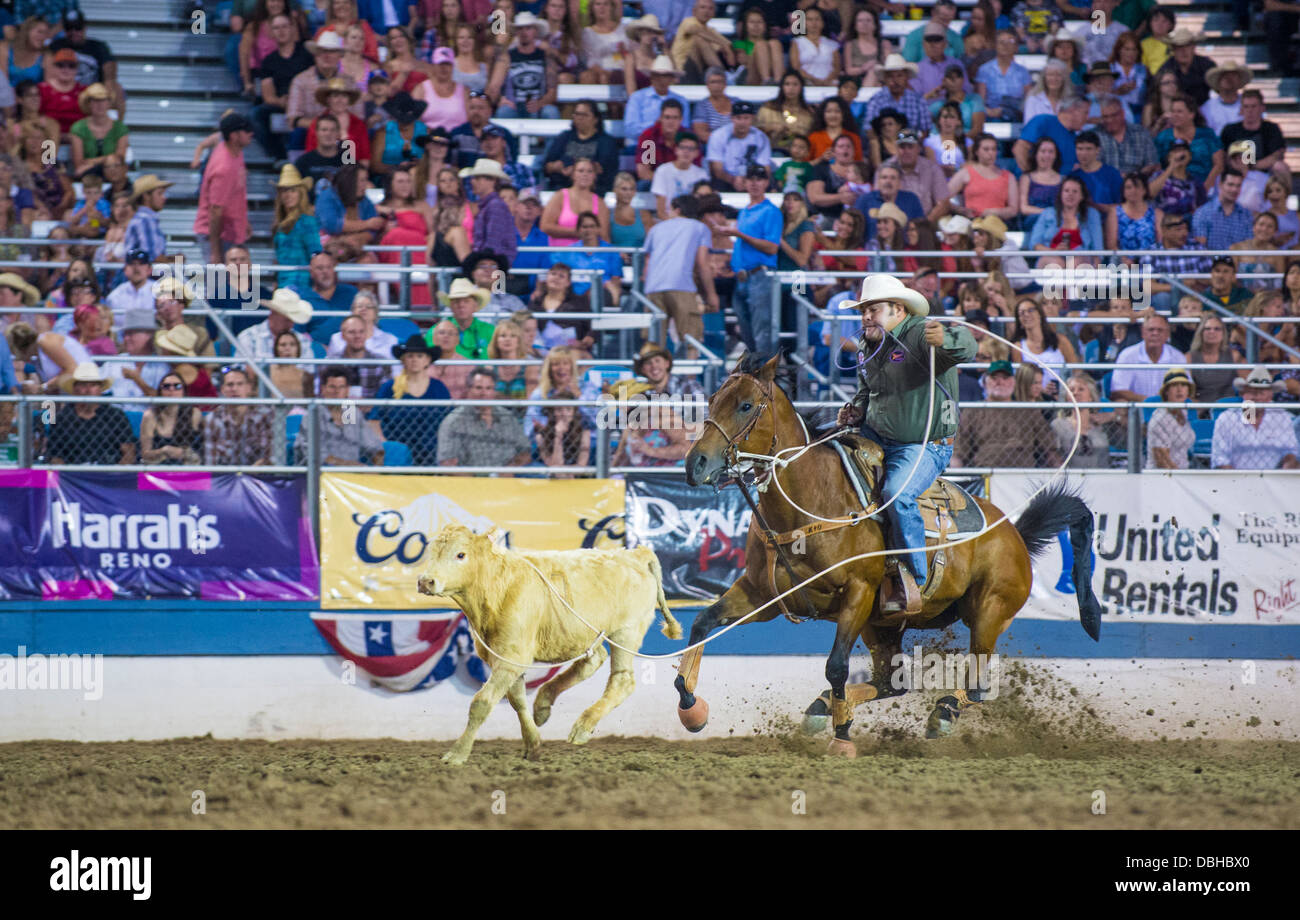 Cowboy Participant in a Calf roping Competition at the Reno Rodeo ...
