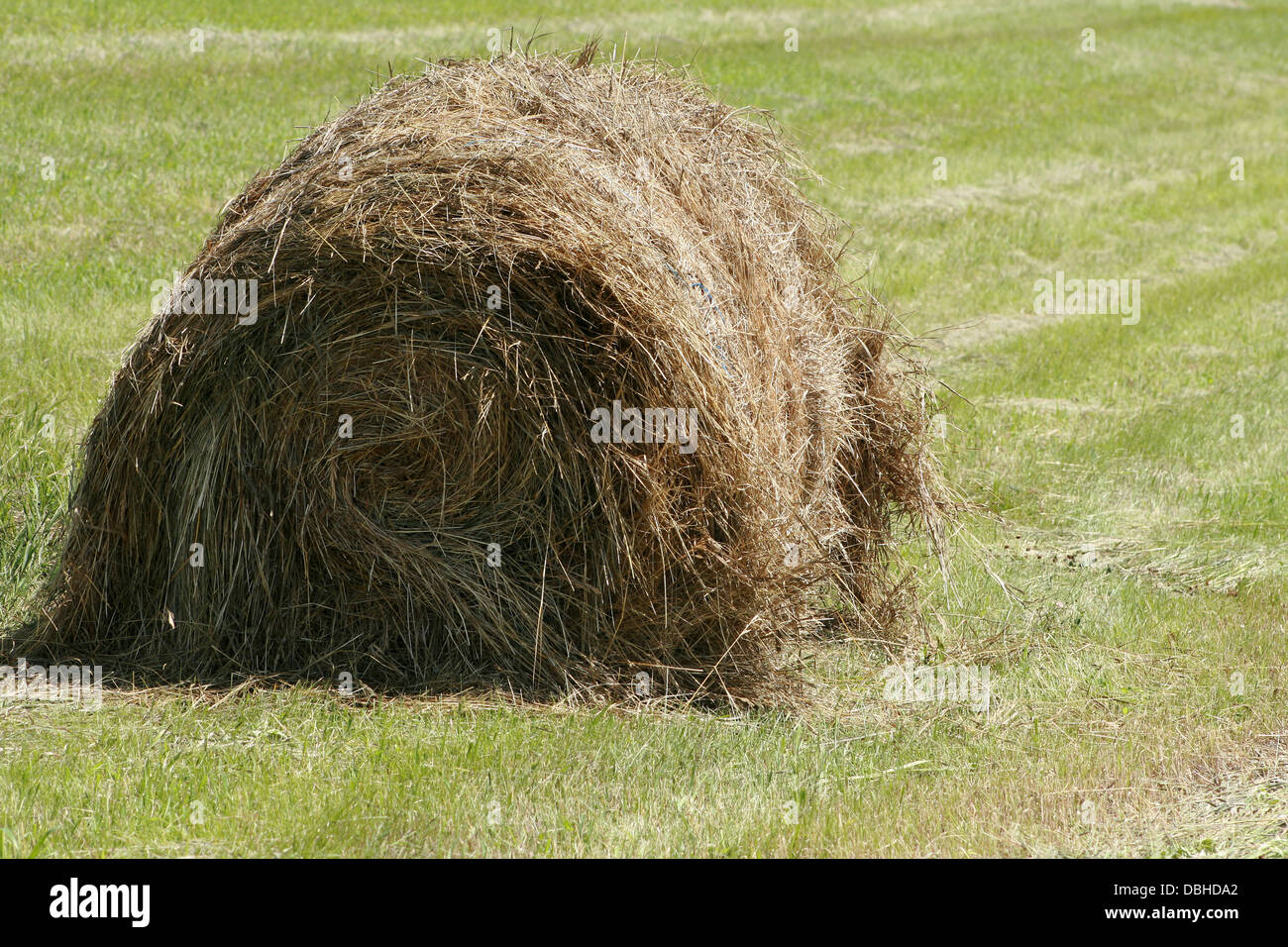 Bale shape hi-res stock photography and images - Alamy