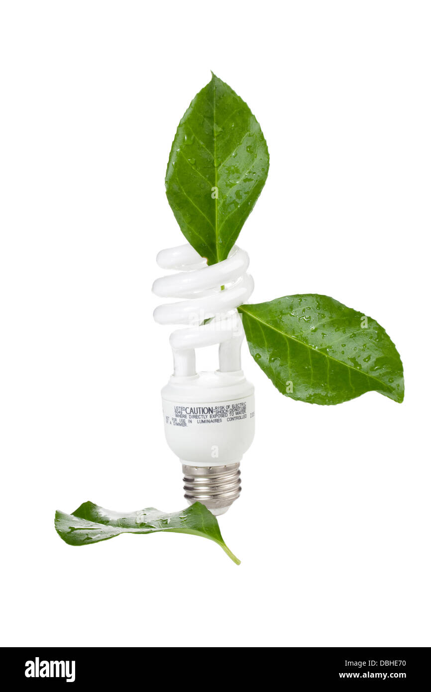Energy save bulb concept Cut Out Stock Images & Pictures - Alamy