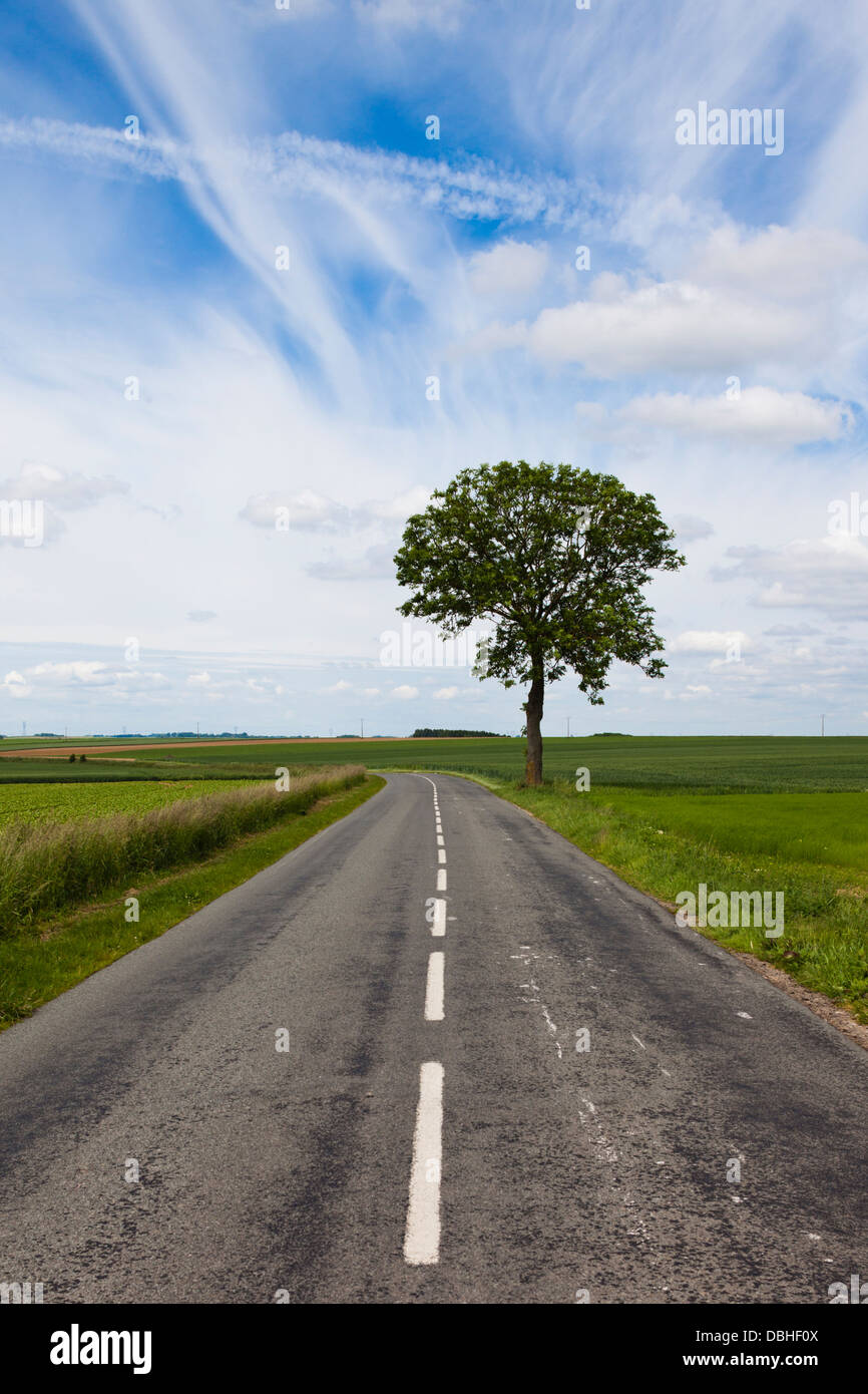 France, Picardy, Somme, Beaumont, road through the Somme countryside ...