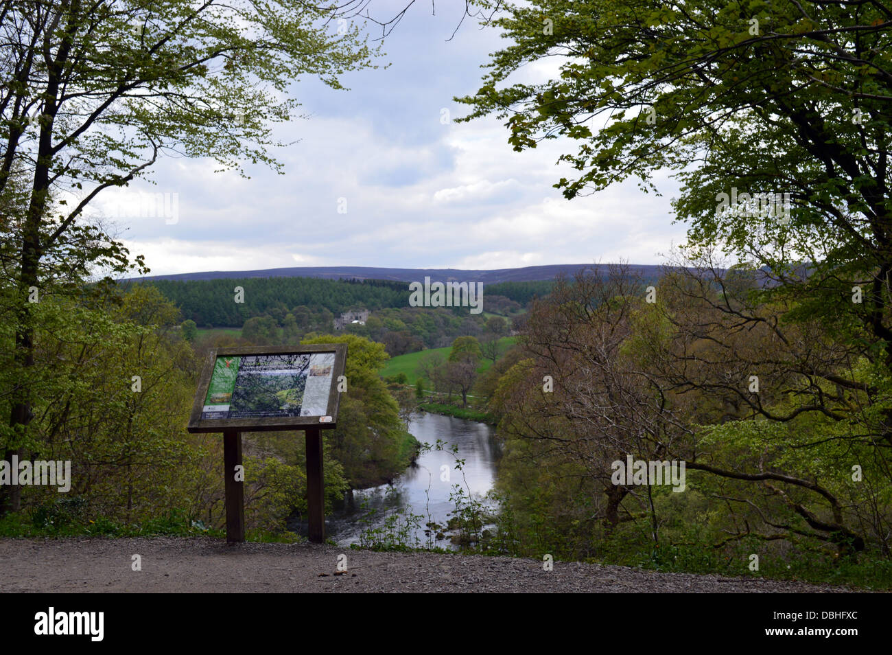 View Point Overlooking the River Wharfe from Strid Wood part of the ...