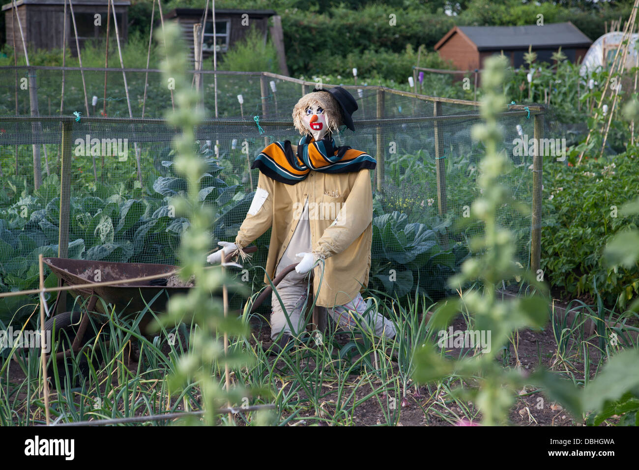 Scarecrow with wheelbarrow in urban allotment Stock Photo - Alamy
