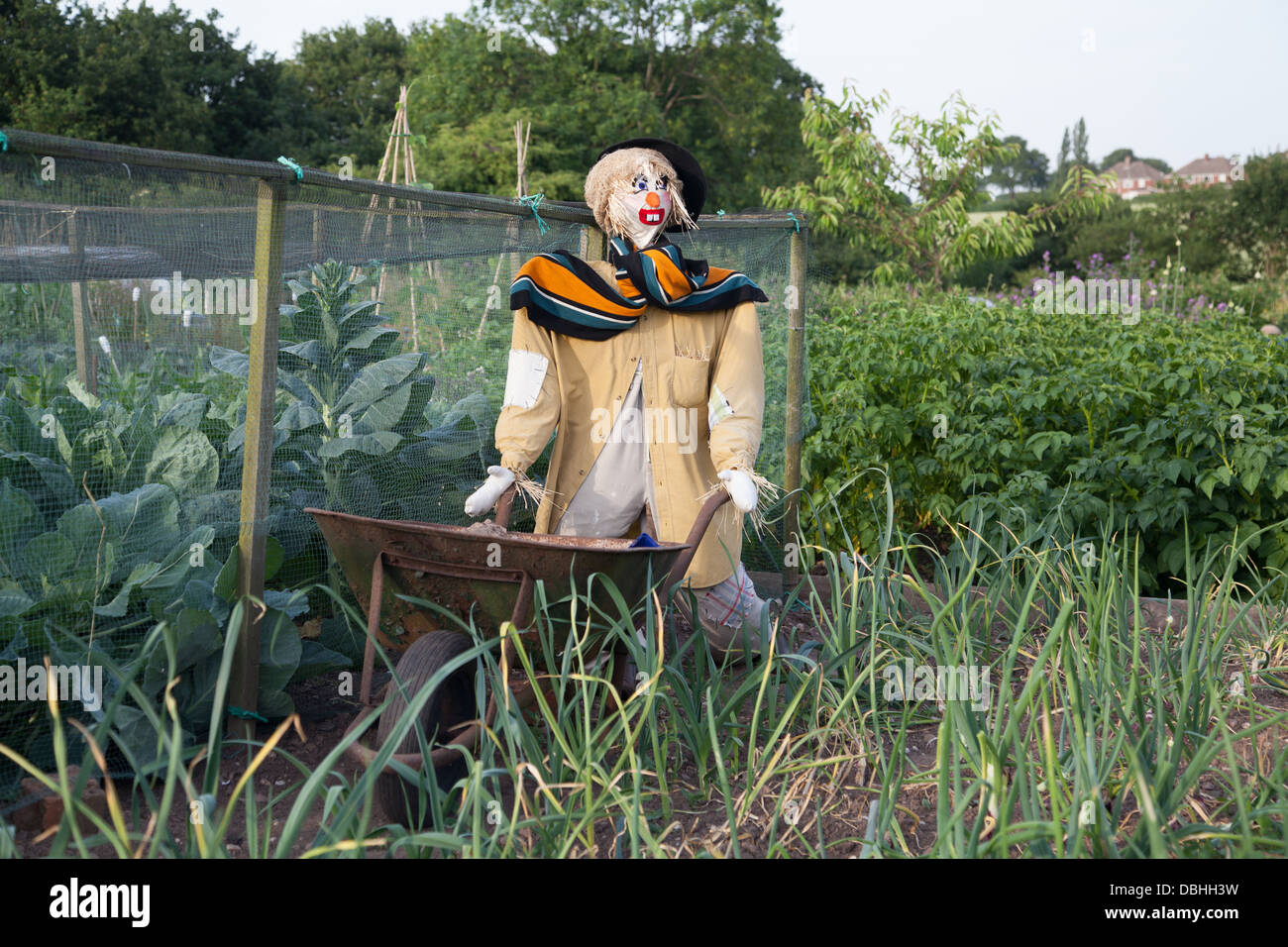 Scarecrow with wheelbarrow in urban allotment Stock Photo - Alamy
