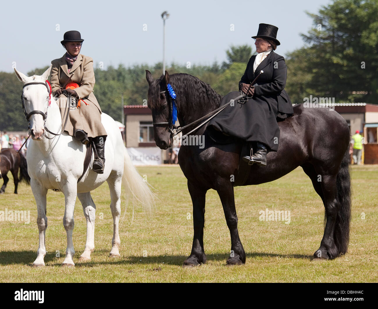 Sidesaddle hi-res stock photography and images - Alamy