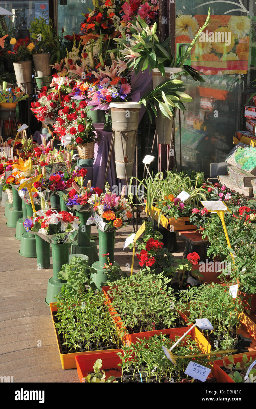 Florist shop sidewalk hi-res stock photography and images - Alamy