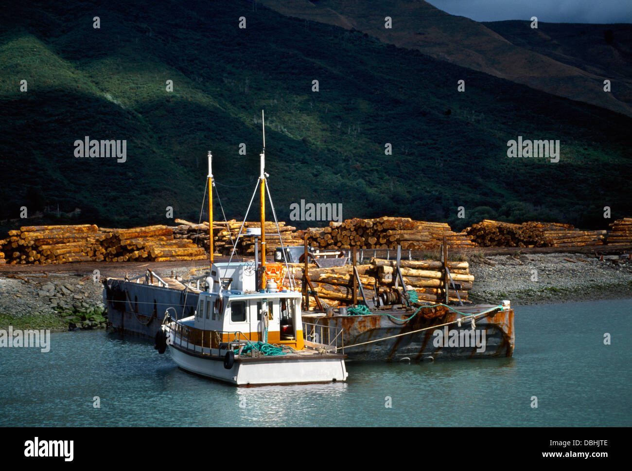 New Zealand Havelock Timber Exports Stock Photo - Alamy
