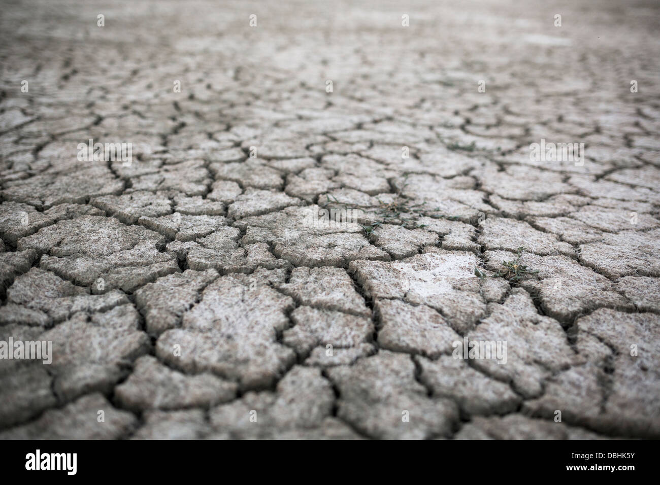 Drought ground of death lake Koronia in northern Greece Stock Photo - Alamy