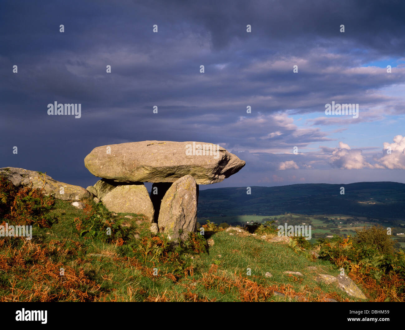 Rowen, Conwy: looking ENE at the exposed chamber stones of Maen y Bardd ...