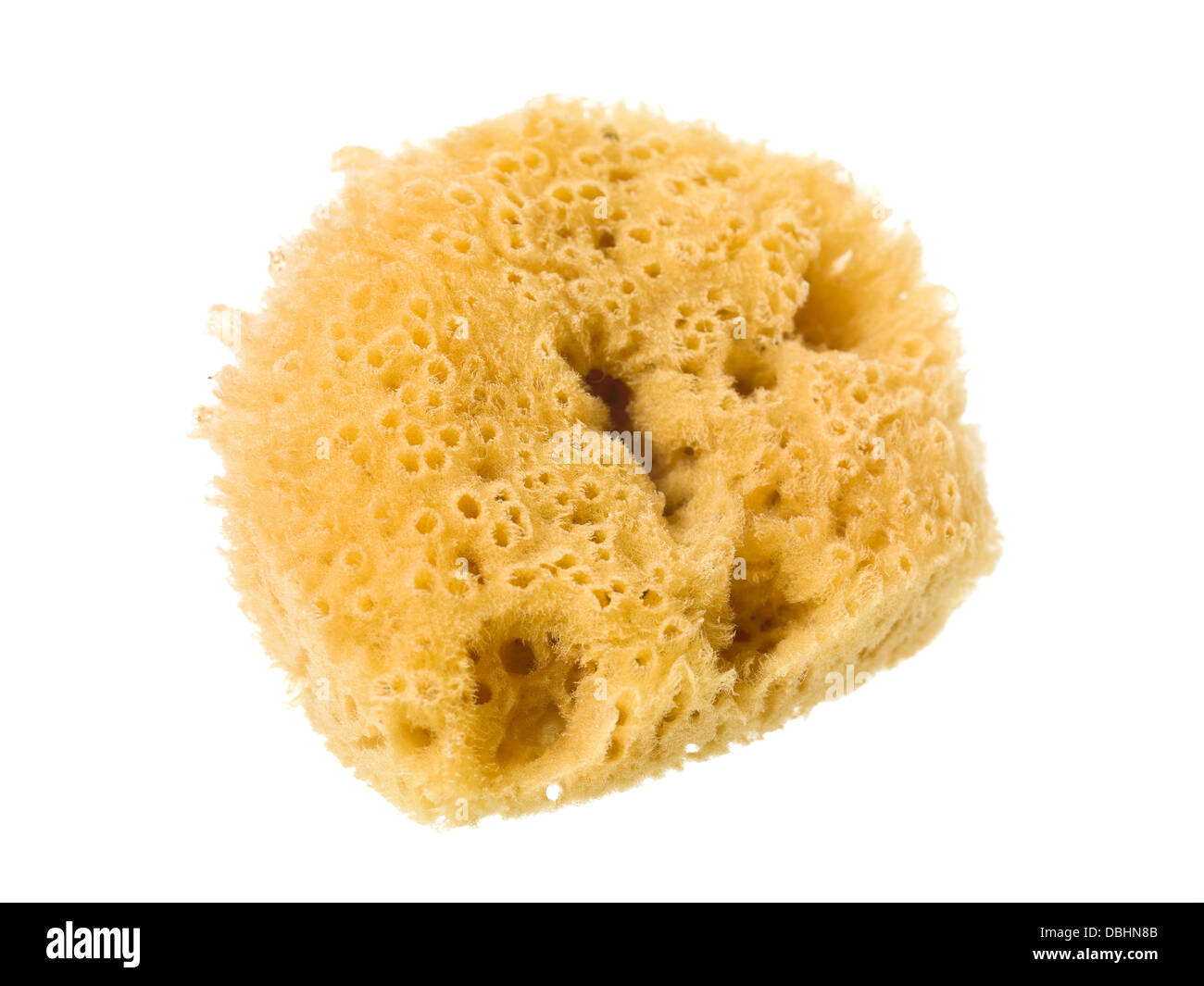 Massage sponge cleaning Cut Out Stock Images & Pictures - Alamy