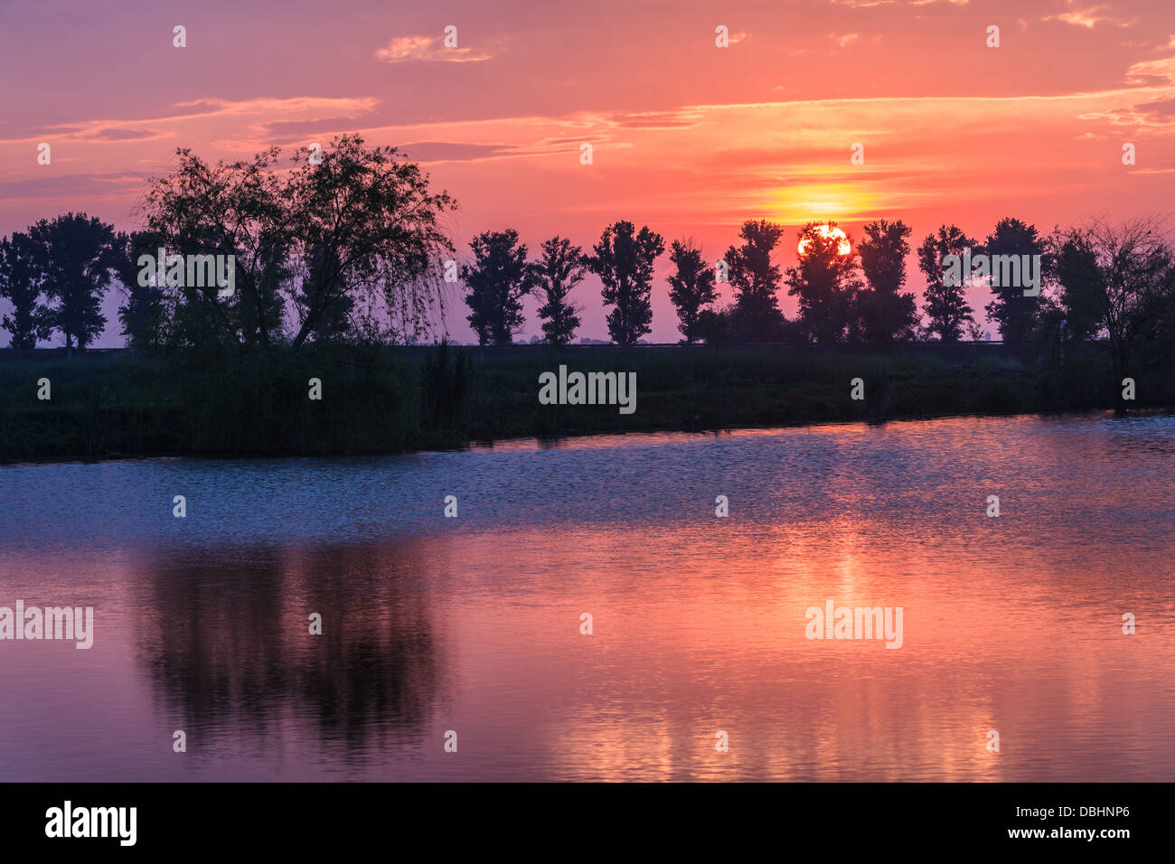 sunrise among trees Stock Photo - Alamy