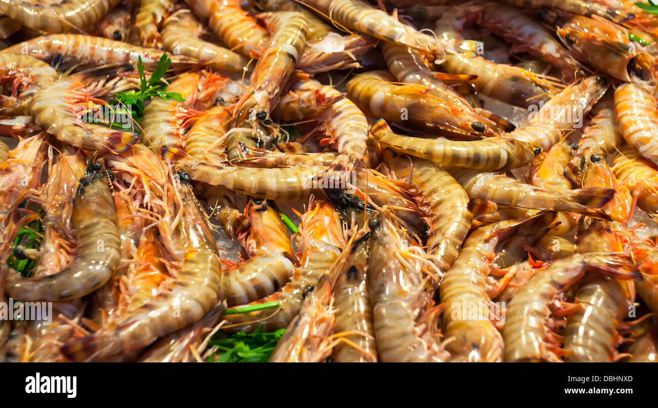Fresh prawns hi-res stock photography and images - Alamy