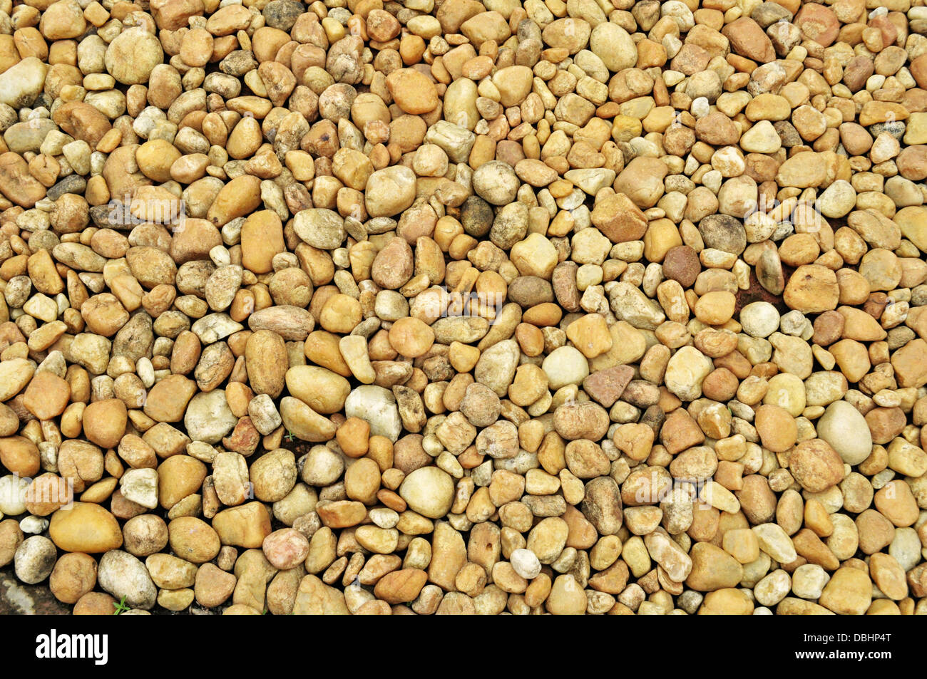 Graveled garden hi-res stock photography and images - Alamy