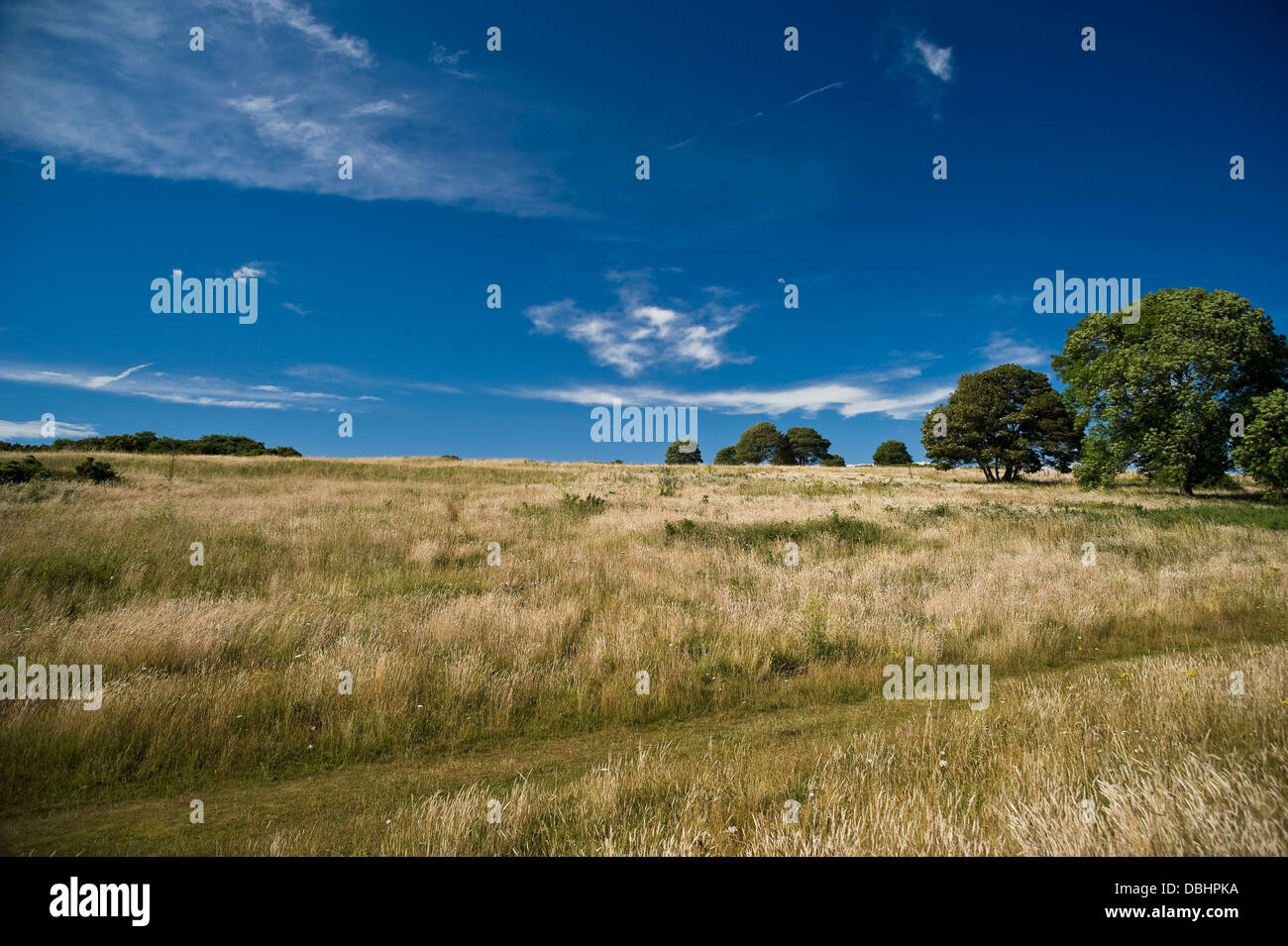 Cissbury rings hi-res stock photography and images - Alamy