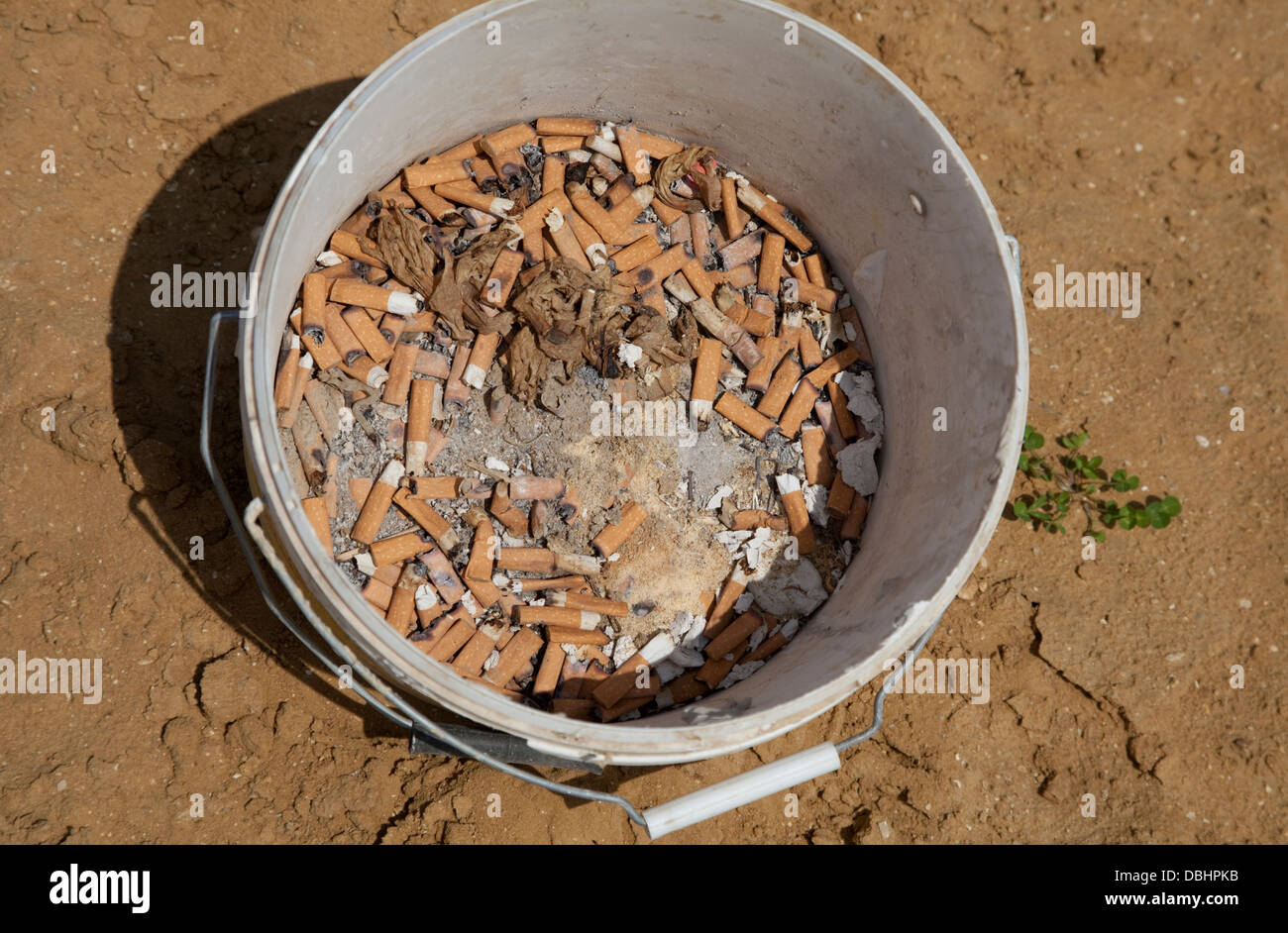 Container full of cigarette butts from heavy smoker UK Stock Photo - Alamy
