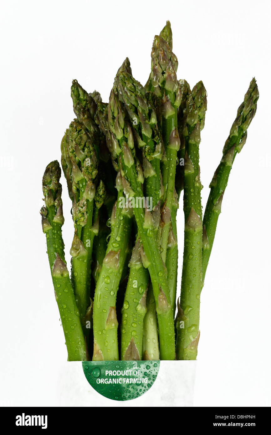 Bundle of green Organic Asparagus Stock Photo - Alamy