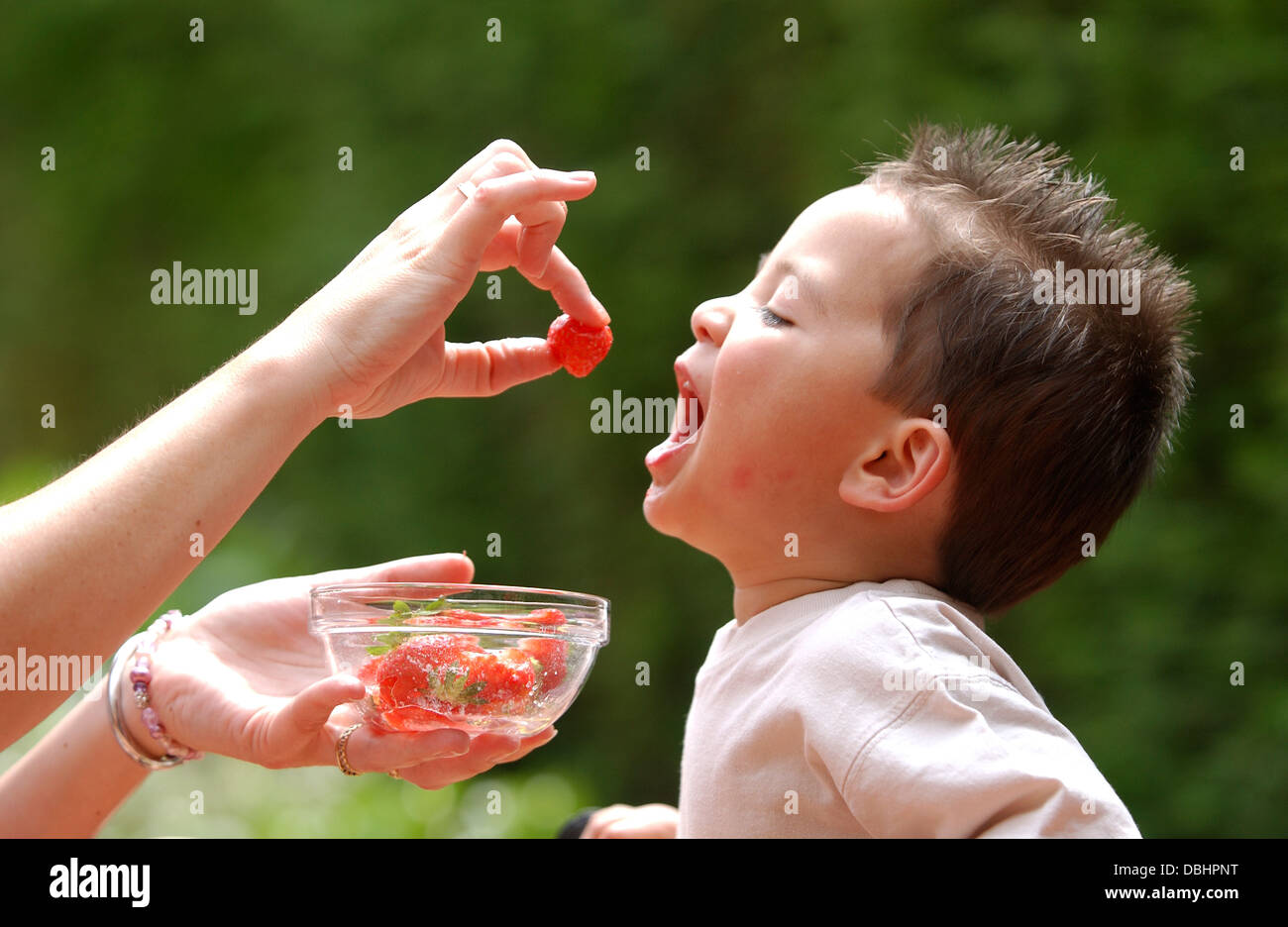 Little boy eating a strawberry Stock Photo - Alamy
